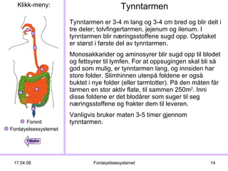 FordøYelsessystemet | PPT