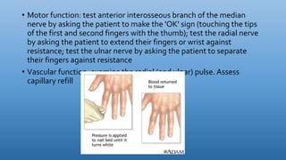 Forearm fractures | PPTX