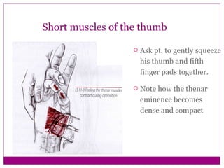 Forearm And Hand 5 | PPT