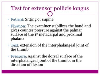 Forearm And Hand 5 | PPT