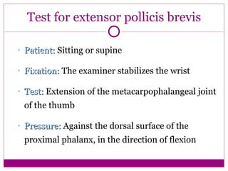 Forearm And Hand 5 | PPT