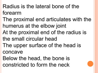 Forearm bones | PPTX
