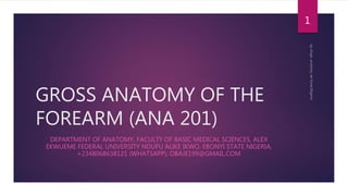 Forearm (ana 201) | PPT