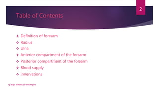 Forearm (ana 201) | PPT