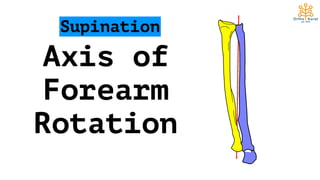 Forearm fracture, A Wednesday child in upper extremity fracture | PPT