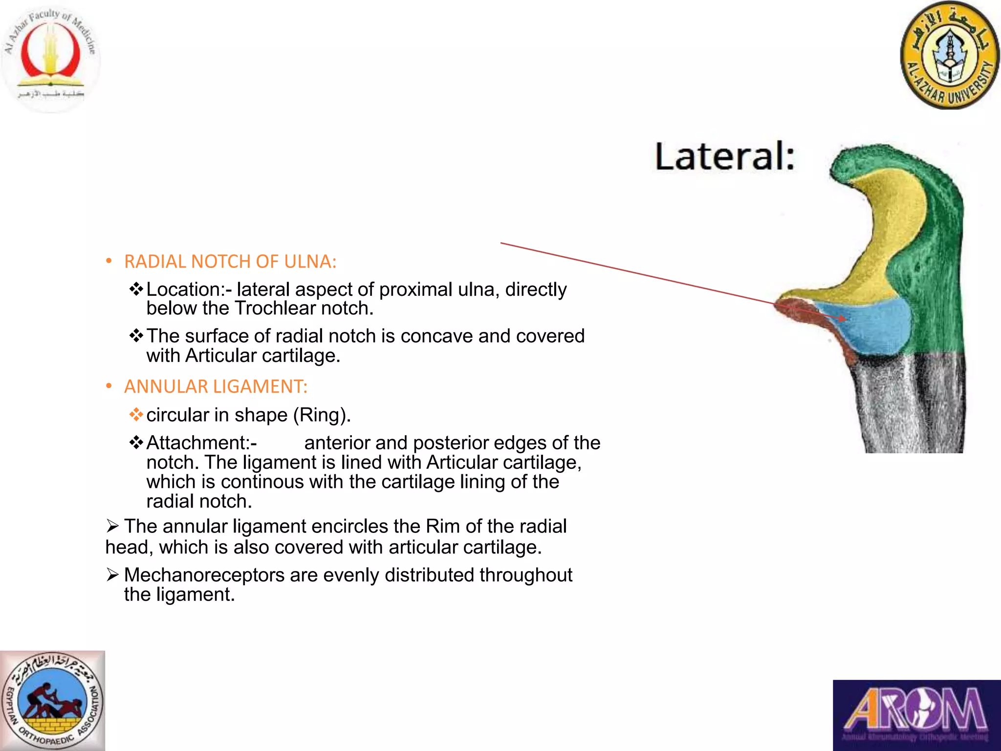 Forearm instability | PPT