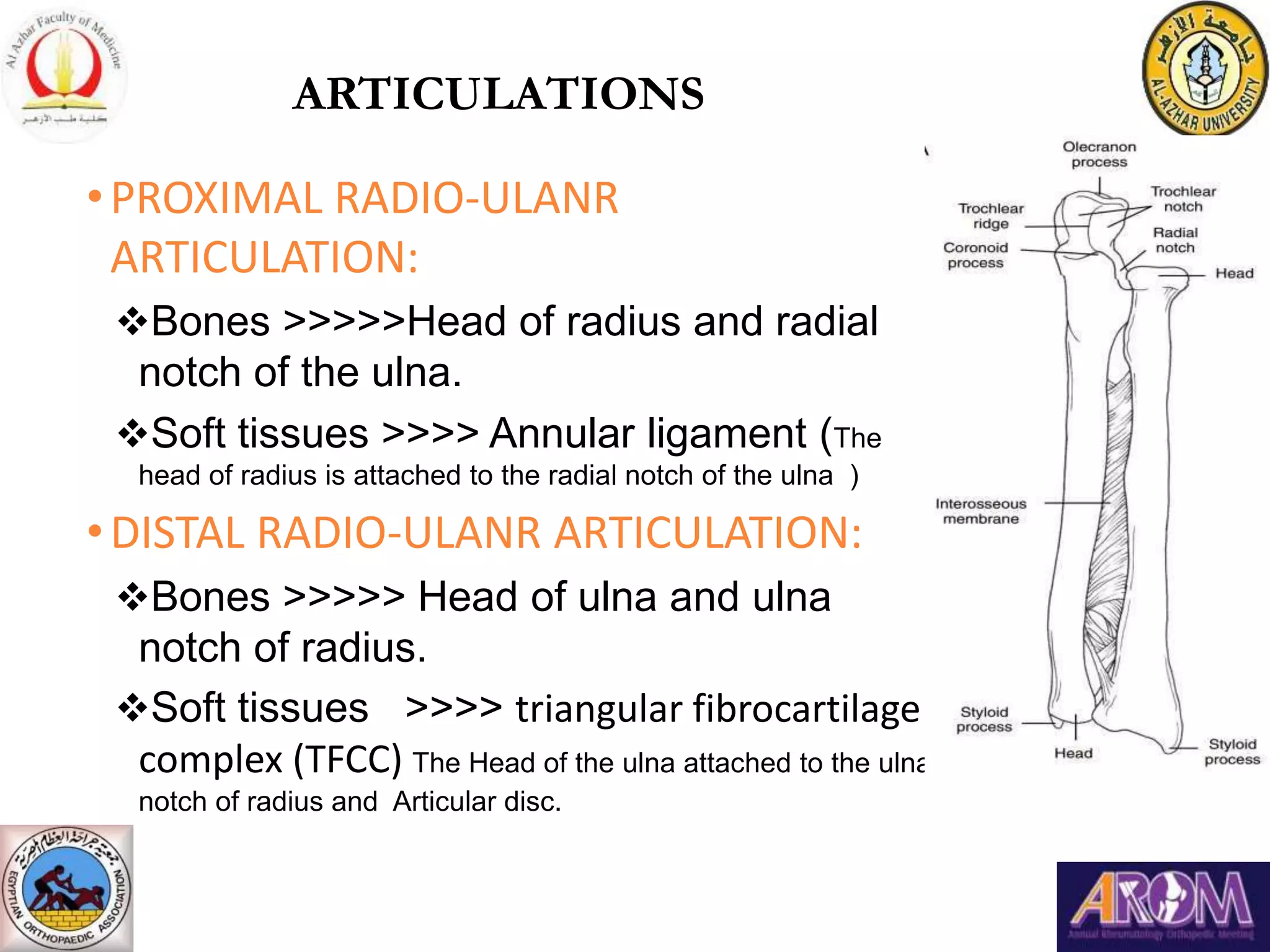 Forearm instability | PPT