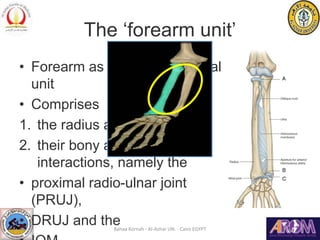 Forearm instability | PPT