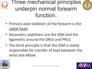 Forearm instability | PPT