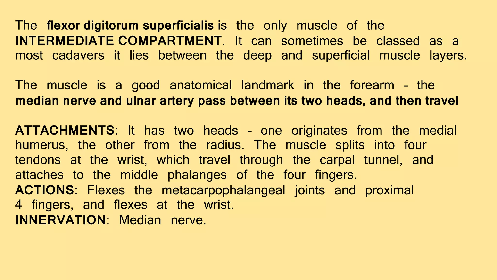 Forearm muscles anterior (flexor) compartment | PPTX