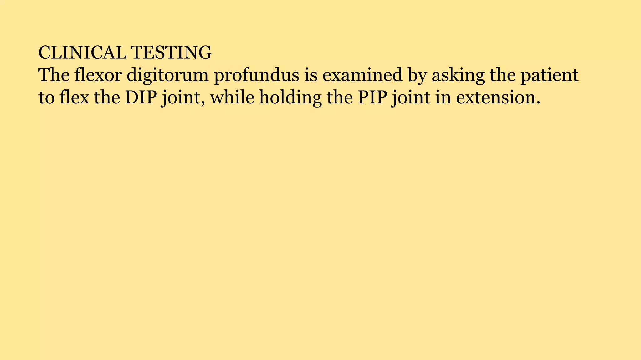 Forearm muscles anterior (flexor) compartment | PPTX