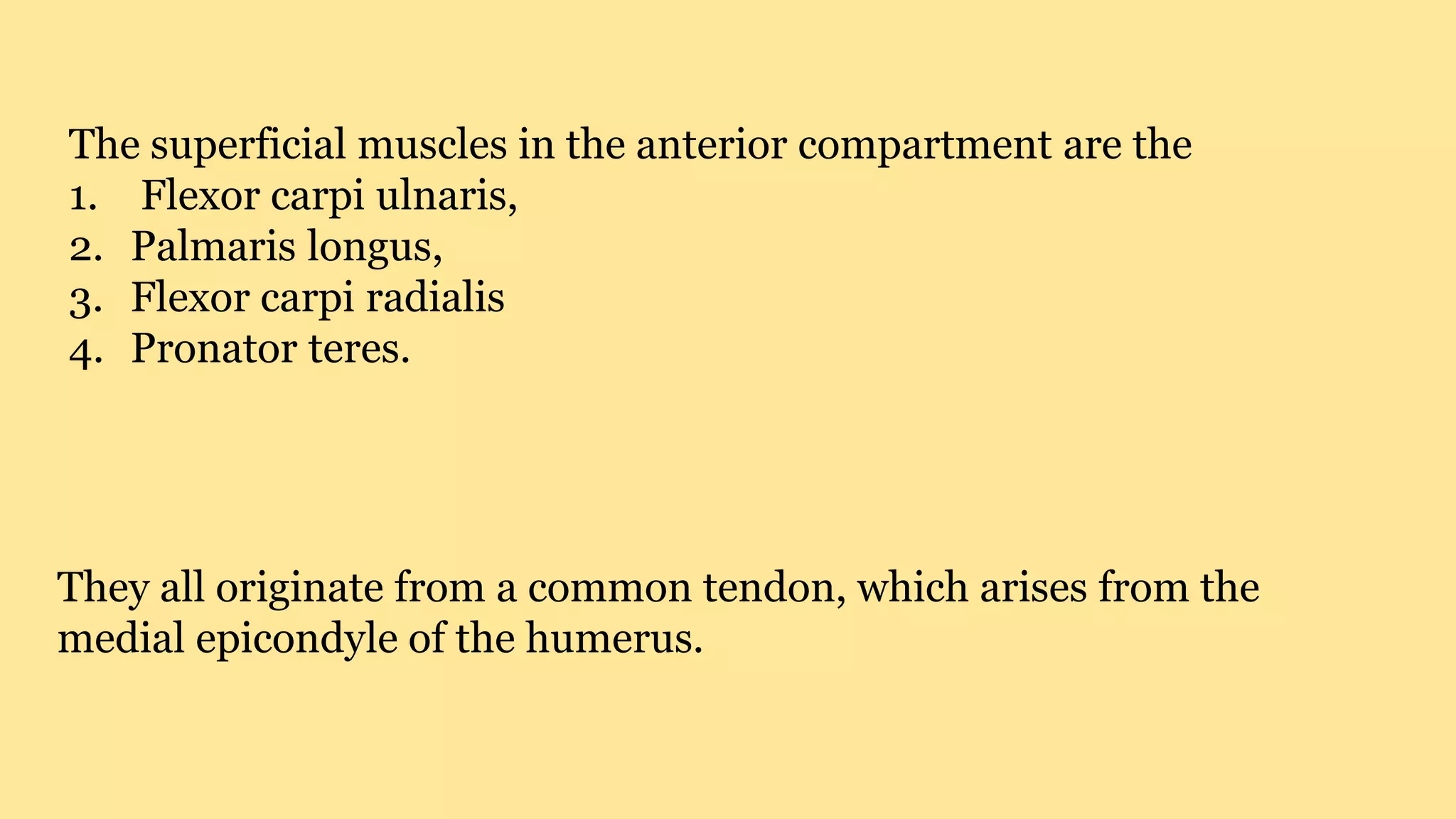 Forearm muscles anterior (flexor) compartment | PPTX
