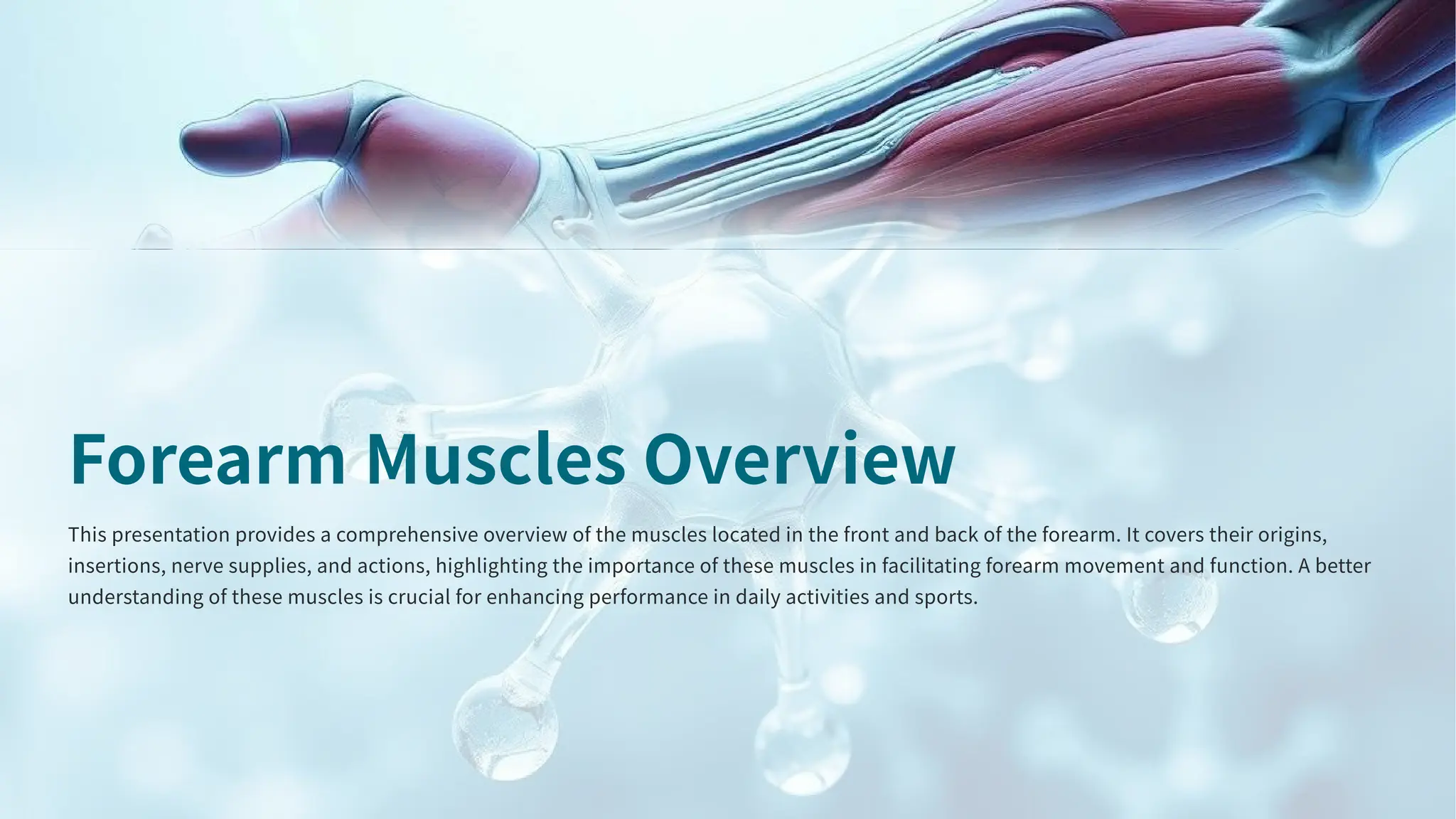Forearm Muscles Overview ,function and structure.pdf