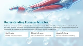 Forearm Muscles Overview ,function and structure.pdf