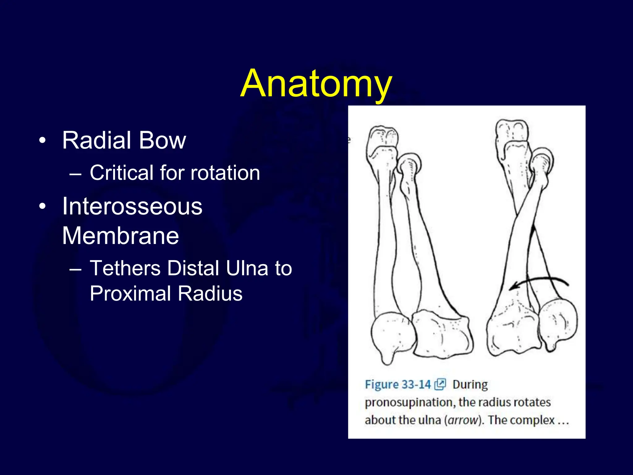 FOREARM TRAUMA. .pptx. | PPTX