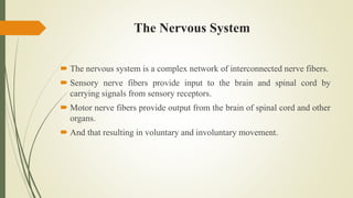 Fore-brain it's structure functions and related Disorders. | PPTX