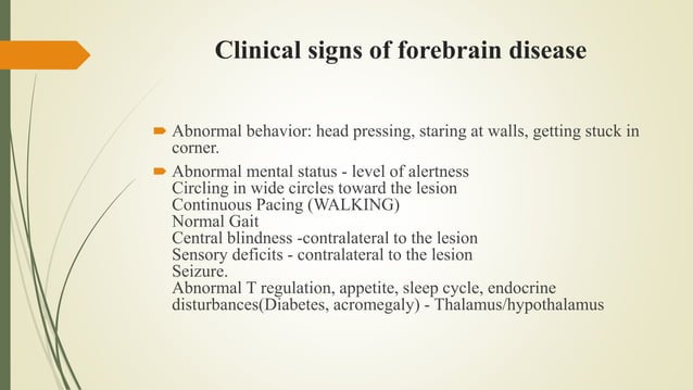 Fore-brain it's structure functions and related Disorders. | PPTX