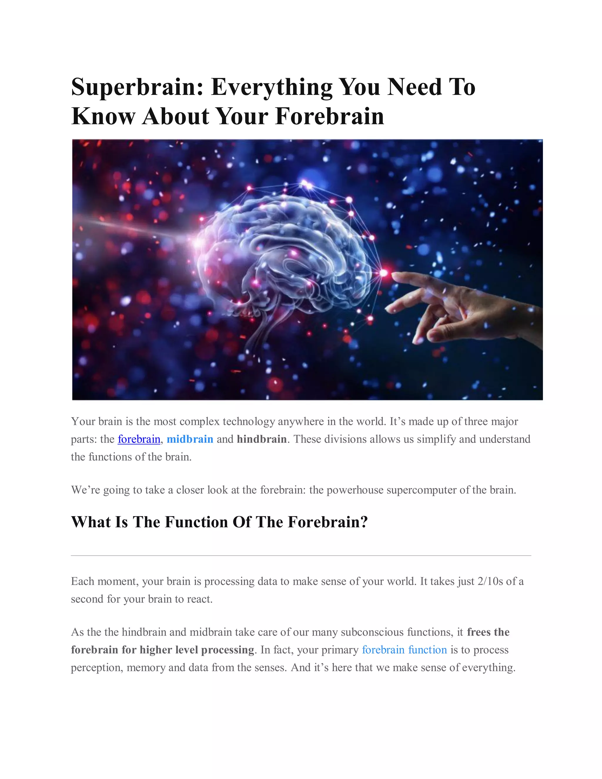 Forebrain | PDF