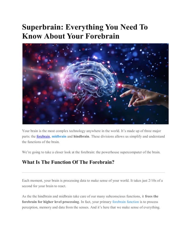 Forebrain | PDF