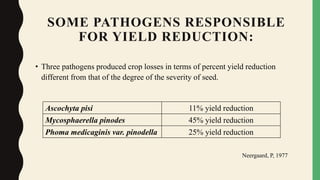 FORECASTING LOSSES FROM SEED BORNE DISEASES.pptx