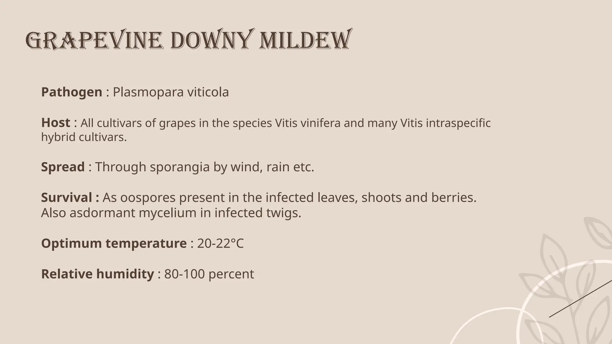 FORECASTING MODELS OF GRAPEVINE DOWNY MILDEW.pptx