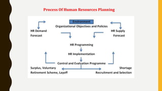 Forecasting the Supply of Human Resources.pdf