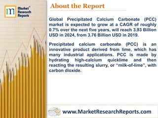 Forecast of Global Precipitated Calcium Carbonate (PCC) Market 2024 | PPTX