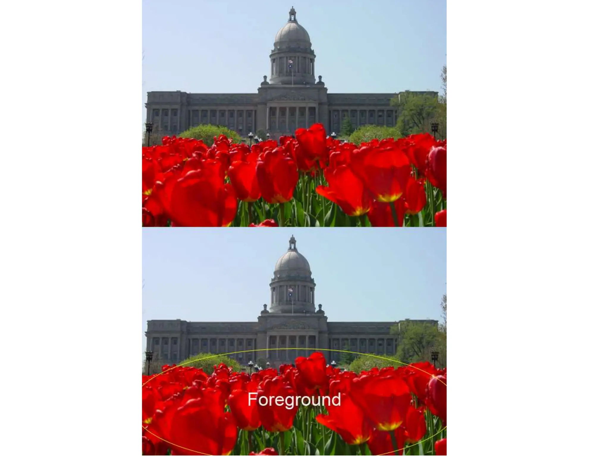 Foregrounding & Interpretation.ppt stylistics x | PPTX