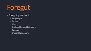 Foregut | PPTX