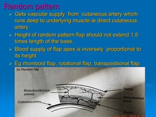 Forehead flap | PPTX