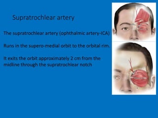 forehead flap ppt.pptx | First Aid | Injuries