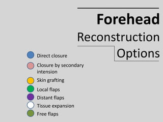 Forehead reconstructionn | PPTX