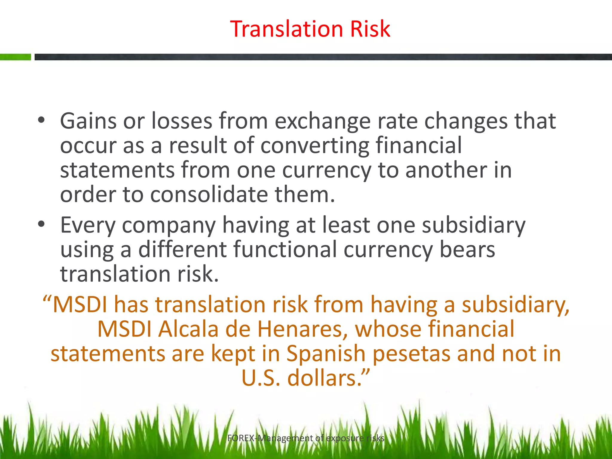 Foreign exchange risk | PPSX