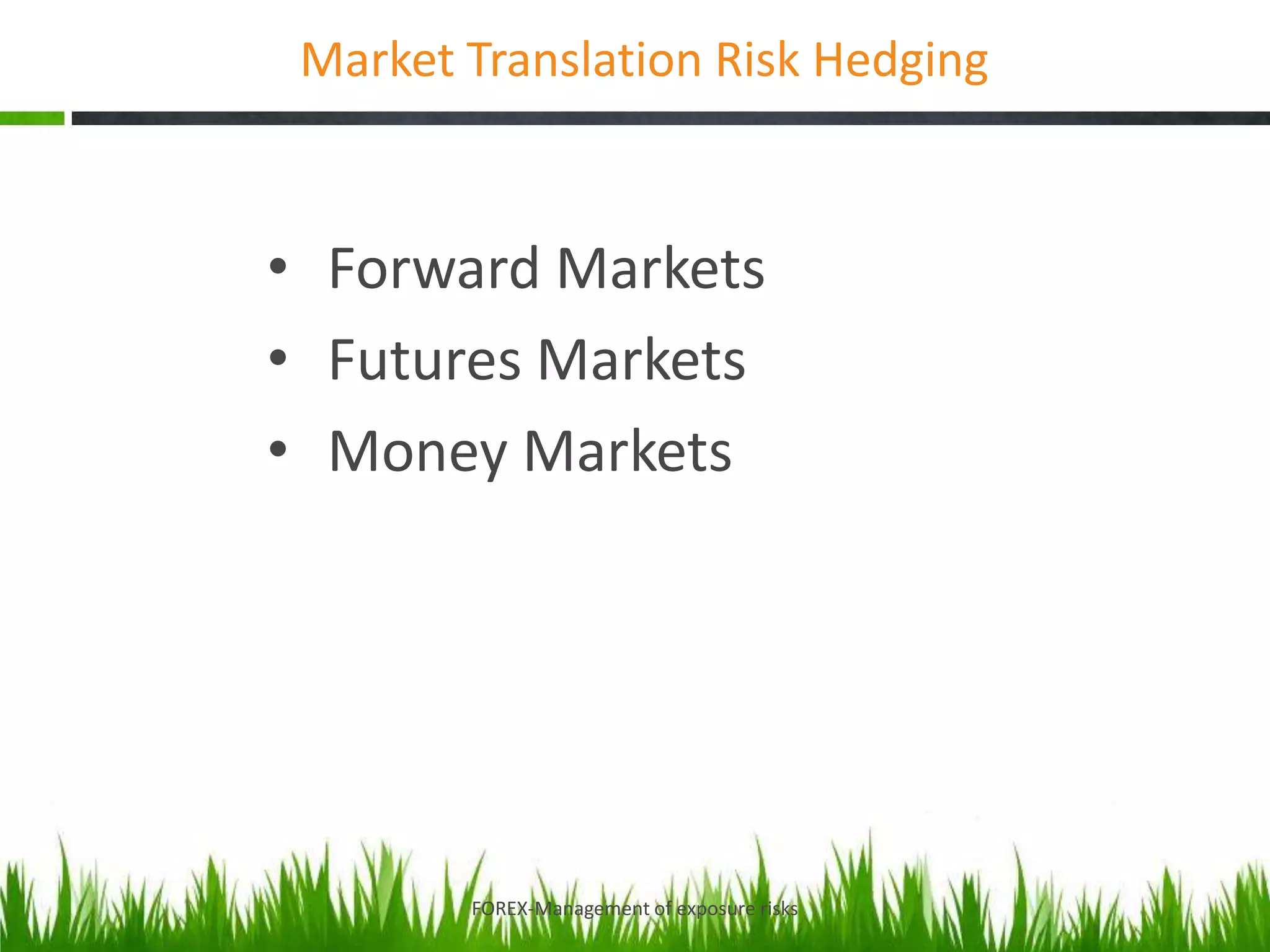 Foreign exchange risk | PPSX