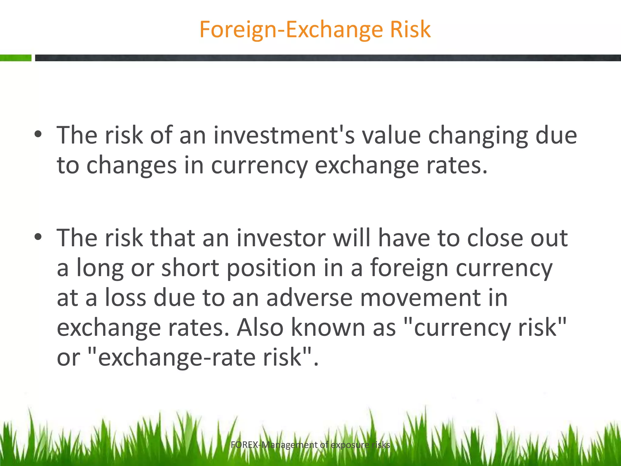 Foreign exchange risk | PPSX