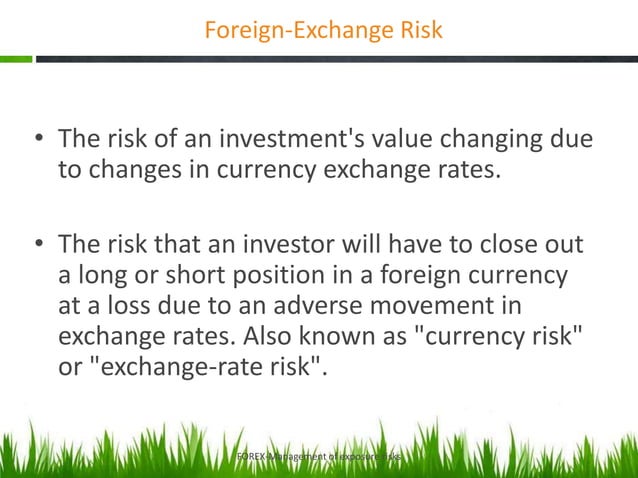 Foreign exchange risk | PPSX | Stocks and Bonds | Personal Investing