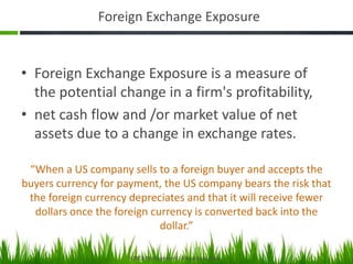 Foreign exchange risk | PPSX