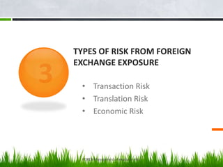Foreign exchange risk | PPSX