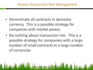 Foreign exchange risk | PPSX