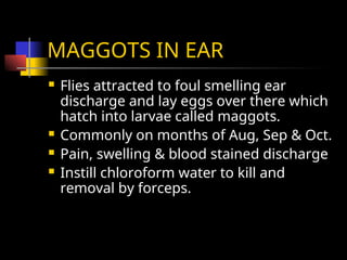 FOREIGN BODIES OF EAR.ppt iiiiiiiiiiiiii | PPT
