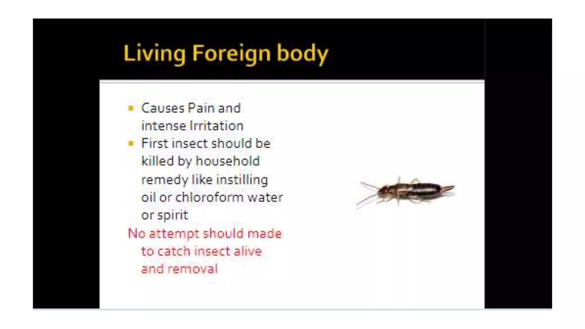 Foreign body in ENT | PPTX