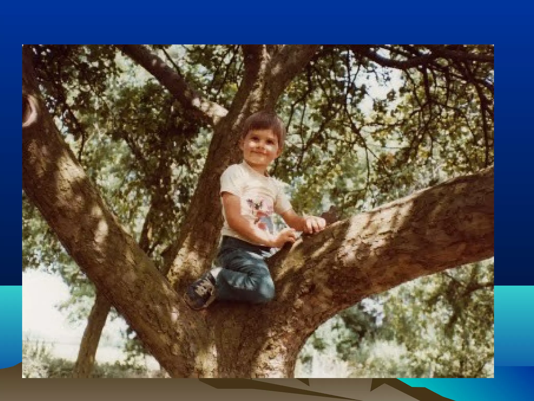 Foreign land teaching for (1) | PPT