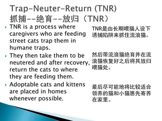 TNR in Nanjing China （bilingual） | PPTX