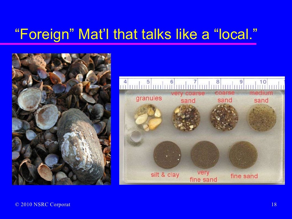 Foreign Material Mgt 2010 02 27 0901