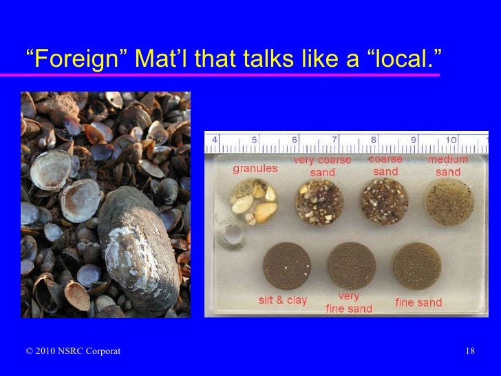 Foreign Material Mgt 2010 02 27 0901