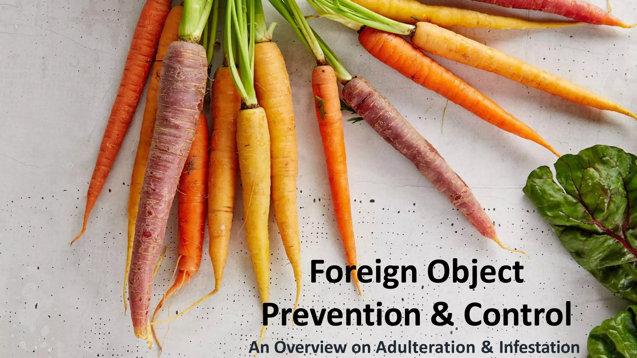 Foreign Object Prevention & Control | PPTX