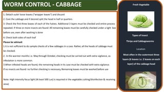 Foreign Object Prevention & Control | PPTX