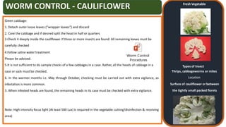 Foreign Object Prevention & Control | PPTX