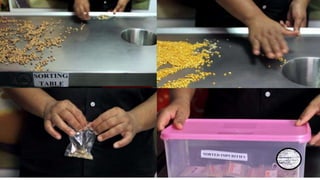 Foreign Object Prevention & Control | PPTX