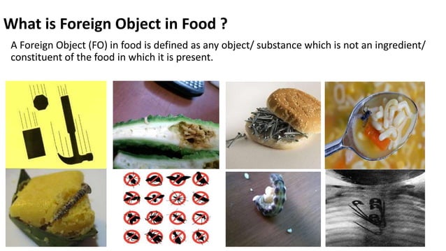 Foreign Object Prevention & Control | PPTX